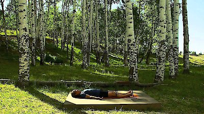 Watch Rodney Yee: Yoga for Energy and Stress Relief Season 1 Episode 3 ...