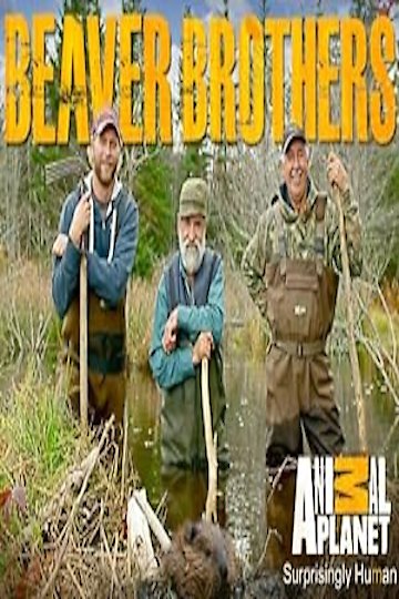Watch Beaver Brothers Online (2014) - Stream Episodes & Seasons