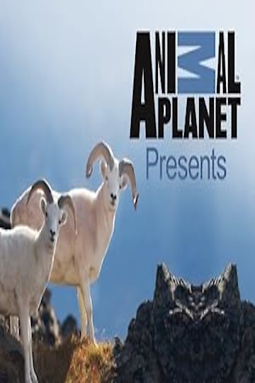 Watch Animal Planet Presents Online (2013) - Stream Episodes & Seasons