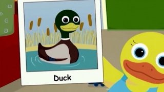 Watch Animal Fun With Tillie the Duck Online - Full Episodes of Season ...