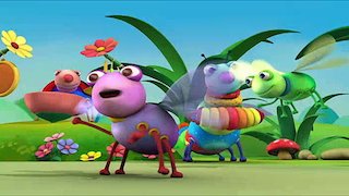 Watch Big Bugs Band Online - Full Episodes of Season 1 | Yidio