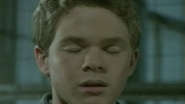 Watch Animorphs Online - Full Episodes of Season 2 to 1 | Yidio