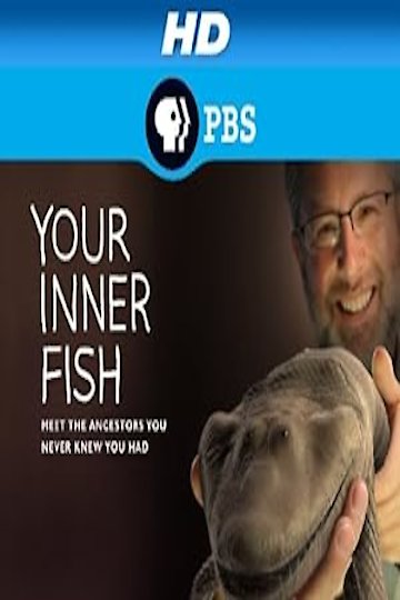 Watch Your Inner Fish Online (2014) - Stream Episodes & Seasons