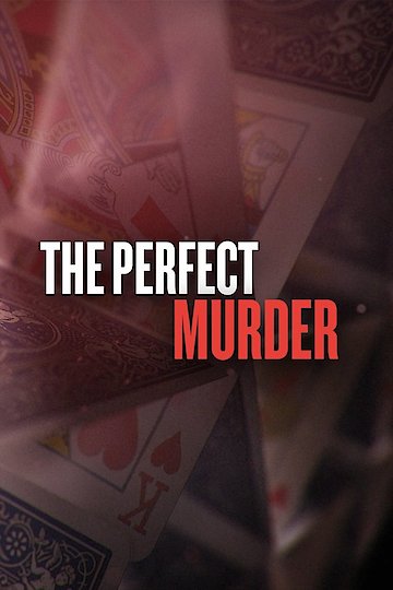 Watch The Perfect Murder Online (2014) - Stream Episodes & Seasons