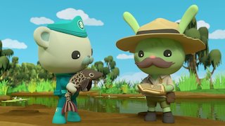 Watch The Octonauts Season 4 Episode 5 - The Great Swamp Search ...