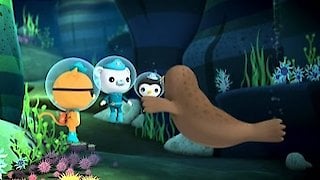 Watch The Octonauts Season 3 Episode 10 - The Duck-Billed Platypus ...