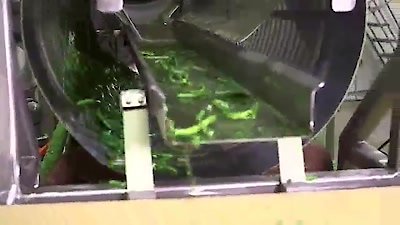 Watch Food Factory USA Season 1 Episode 12 - Full of Beans Online Now