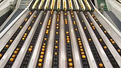 Watch Food Factory USA Season 2 Episode 19 - Resolve Your Beef Online Now