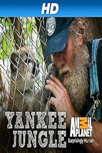 Watch Yankee Jungle Online (2014) - Stream Episodes & Seasons