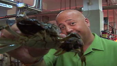 Watch Bizarre Foods with Andrew Zimmern Season 2 Episode 7 - Guangzhou, China Online Now