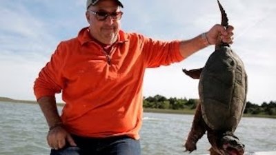 Watch Bizarre Foods with Andrew Zimmern Season 12 Episode 10 - Lima ...