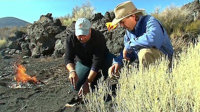 Watch Bizarre Foods with Andrew Zimmern Season 12 Episode 11 - Critters ...