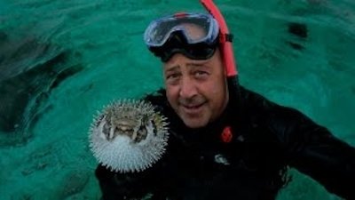 Watch Bizarre Foods with Andrew Zimmern Season 12 Episode 12 - Atlanta ...