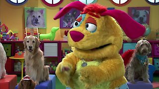 Watch Mutt & Stuff Online - Full Episodes - All Seasons - Yidio