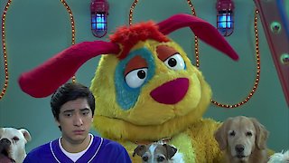 Watch Mutt & Stuff Online - Full Episodes - All Seasons - Yidio