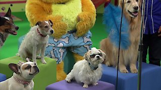 Watch Mutt & Stuff Online - Full Episodes - All Seasons - Yidio