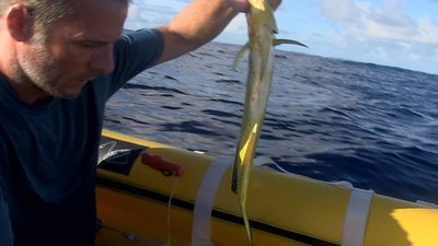 Watch The Raft Season 1 Episode 3 - Boiling Point Online Now