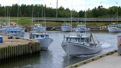 Watch Catching Monsters Season 1 Episode 1 - Bluefin Battle Online Now