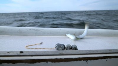 Watch Catching Monsters Season 1 Episode 2 - Titan Tuna Online Now