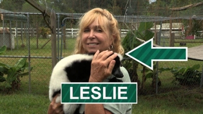 Watch Beasts Behaving Badly Season 1 Episode 2 - Episode 2 Online Now