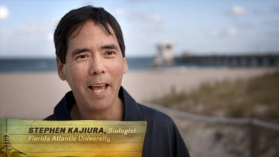 Watch United States of Animals Season 1 Episode 9 - Don't Mess With ...