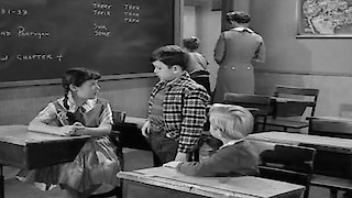 Watch Leave It to Beaver Season 1 Episode 14 - Part Time Genius Online Now