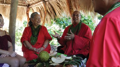 Watch Local, USA Season 2 Episode 12 - Roots of 'Ulu Online Now