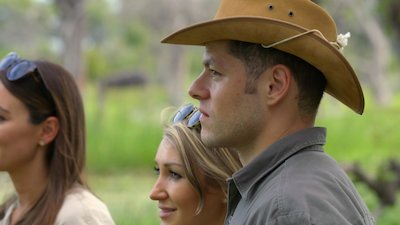 Watch Safari Brothers Season 1 Episode 4 - Meerkat Madness Online Now