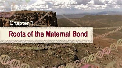 Watch Leaps In Evolution Season 1 Episode 2 - Creation Of Motherly Love Online Now