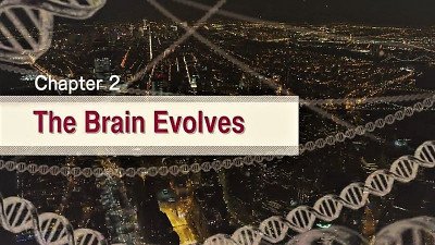 Watch Leaps In Evolution Season 1 Episode 3 - And Finally, Intelligence ...