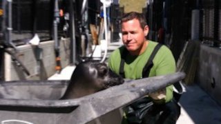 Watch Ocean Mysteries with Jeff Corwin Online - Full Episodes of Season ...