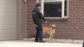 Watch Live PD Online - Full Episodes of Season 5 to 1 | Yidio