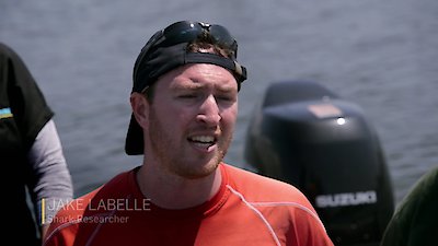 Watch The Zoo Season 1 Episode 6 - Love Shack Online Now