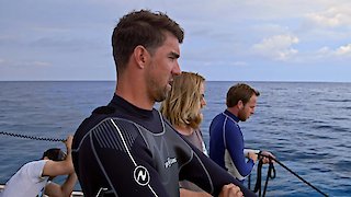 Watch Shark Week Online - Full Episodes - All Seasons - Yidio