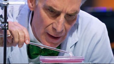 Watch Bill Nye Saves the World Season 1 Episode 4 - More Food, Less ...