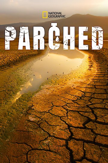 Watch Parched Online (2017) - Stream Episodes & Seasons