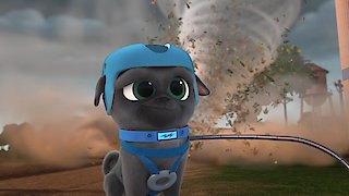 Watch Puppy Dog Pals Online - Full Episodes of Season 4 to 1 | Yidio