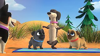Watch Puppy Dog Pals Online - Full Episodes of Season 4 to 1 | Yidio