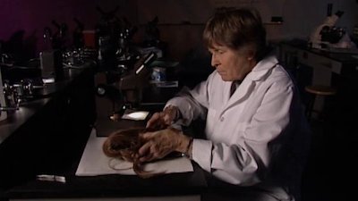 Watch Forensic Files Season 9 Episode 3 - No Corpus Delicti Online Now