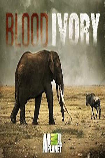 Watch Blood Ivory Online (2017) - Stream Episodes & Seasons