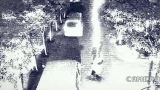 Watch Strange Evidence Online - Full Episodes of Season 2 to 1 | Yidio