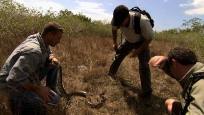 Watch Python Hunters Season 1 Episode 2 - The Big Freeze Online Now
