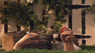 Watch Oobi Season 1 Episode 103 - Kako's Puppy/Uma Birthday Online Now