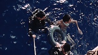 Watch The Pacific War in Color Online - Full Episodes of Season 1 | Yidio