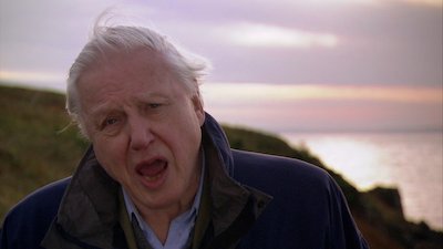 Watch David Attenborough's First Life Season 1 Episode 1 - Arrival ...