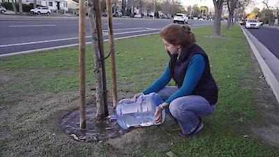 Watch SoCal Connected Season 9 Episode 9 - S9 E9: It's Not Easy Being ...