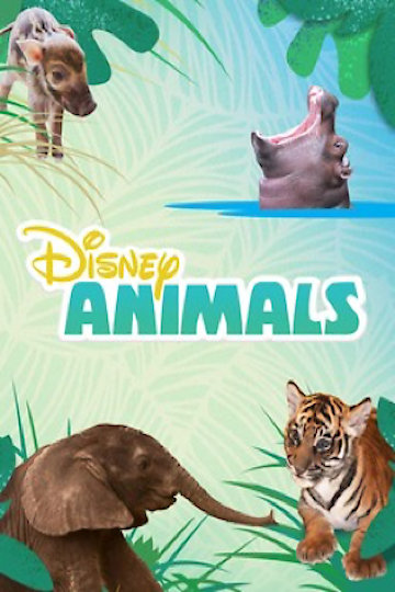 Watch Disney Animals Online (2018) - Stream Episodes & Seasons