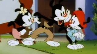 Watch Animaniacs Season 1 Episode 12 - West Side Pigeons/Garage Sale of ...