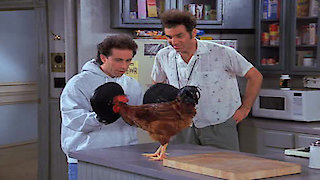 Watch Seinfeld Season 8 Episode 11 - The Little Jerry Online Now