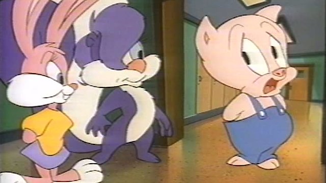 Watch Tiny Toon Adventures Online - Full Episodes of Season 3 to 1 | Yidio